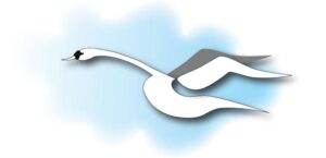 Events – National Grief Awareness Week